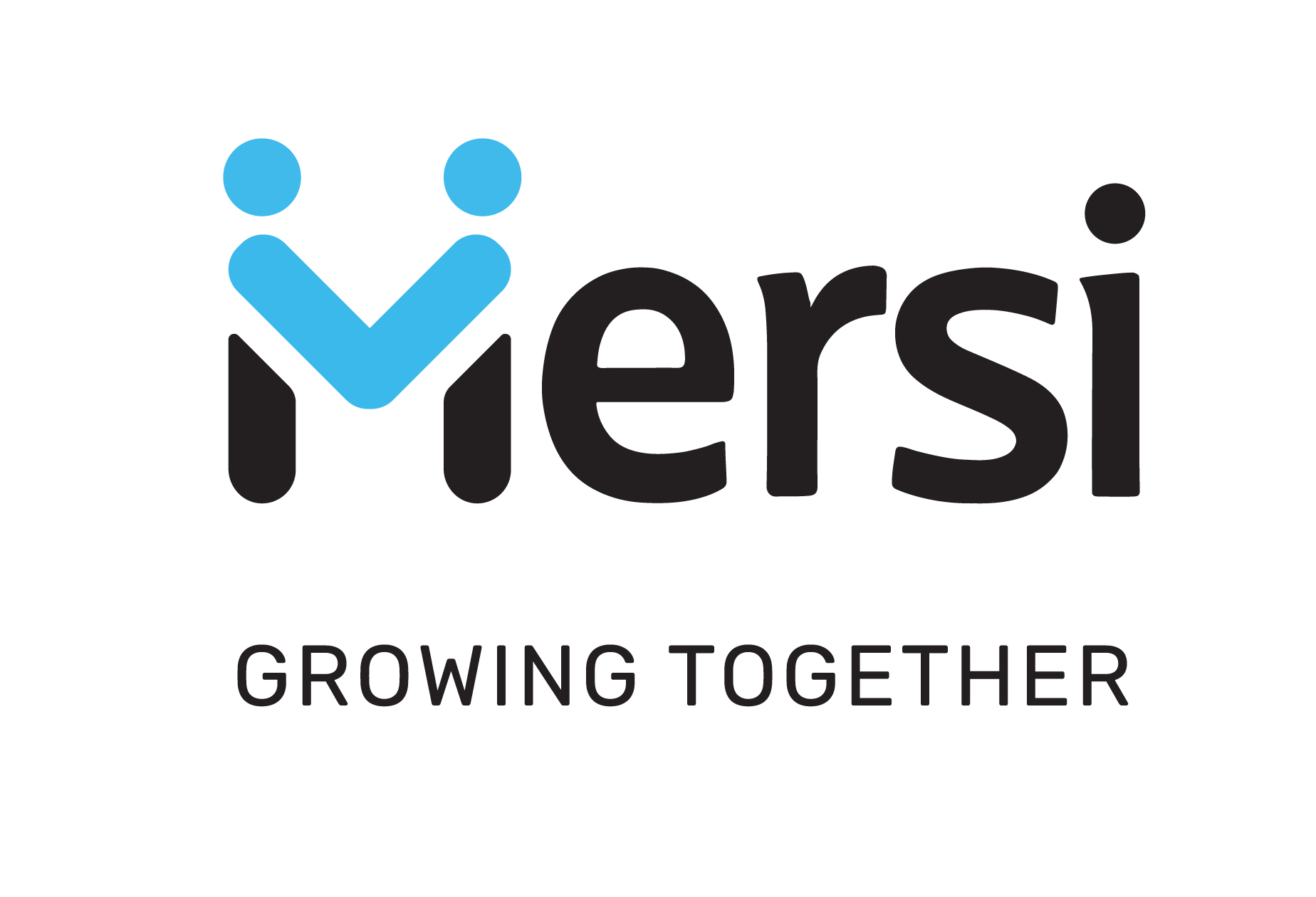 Mersi - Management Consultant